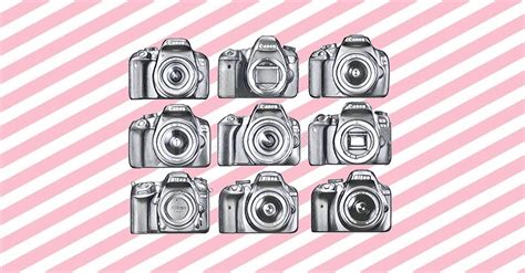7 Best Entry Level Dslr Cameras For Beginners