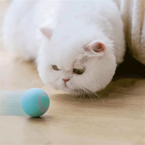 Interactive Electric Cat Ball Toma Home