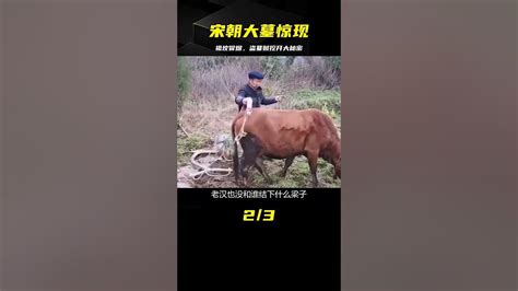 湖北村莊祖墳冒青煙，竟是盜墓賊挖開宋朝大墓，珍貴陪葬品曝光！ 古董 開棺 古墓 考古發現 考古 Youtube