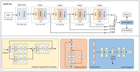 interactive segmentation for medical images using spatial modeling mamba