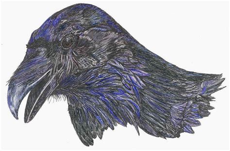 The Raven Reference Images