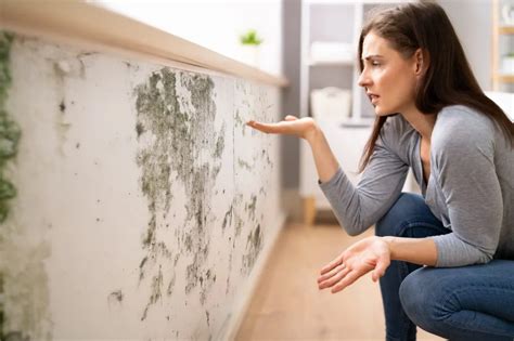 How To Detect Mold In Walls In Easy Steps