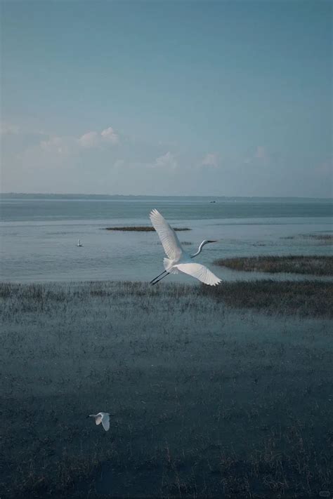 为了寻找你 我搬进鸟的眼睛 花瓣网