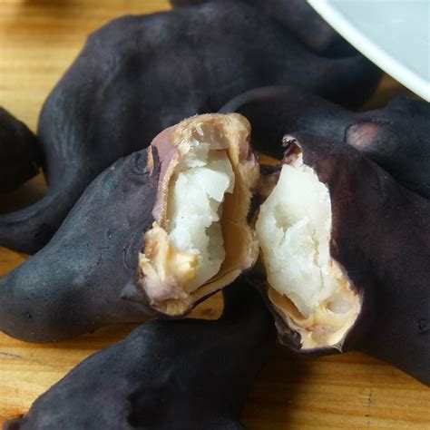 水菱角 长在水里的菱角图片 小菱角 大山谷图库