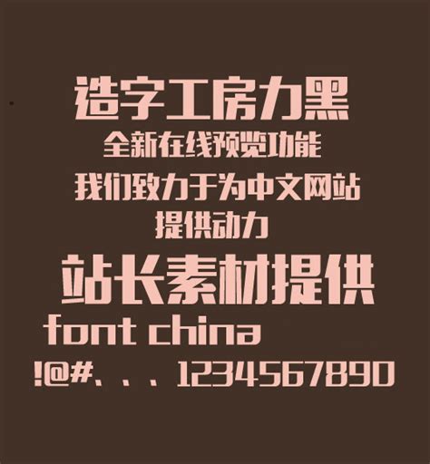 Zao Zi Gong Fang Bold Figure Non Commercial Conventional Font