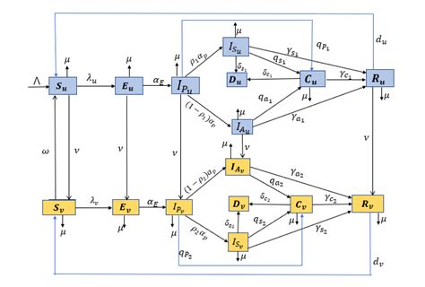 Flowchart Of The Formulated Model Download Scientific Diagram