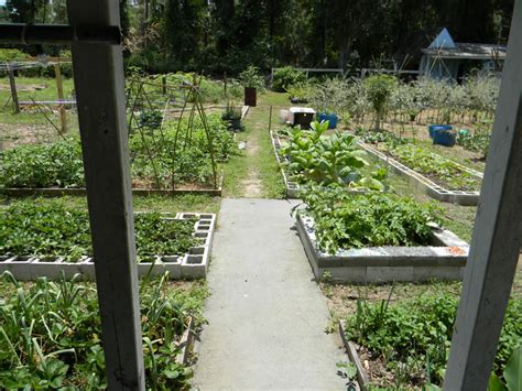 The Prepper Project How Big A Garden Do You Need The Survival Gardener