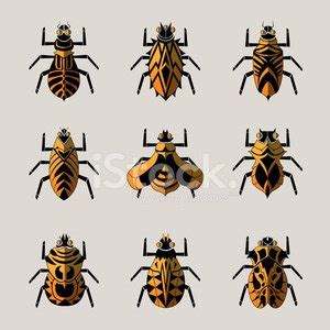 Bugs Royalty Free Vector Stock FreeImages