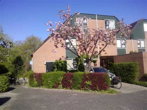 Social Housing Bever Huizen [sociale ]