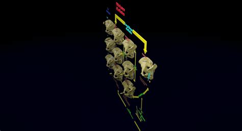 Pelvis Fracture Classifications 3d Model Superhive Formerly Blender