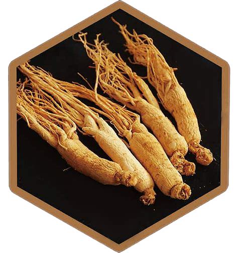 人参3 花瓣网