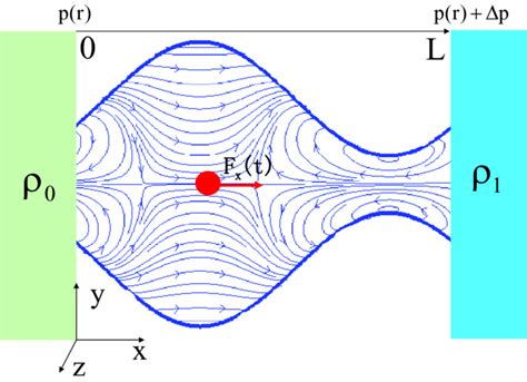 Hydrodynamically Enforced Entropic Brownian Pump The Journal Of Chemical Physics Aip Publishing