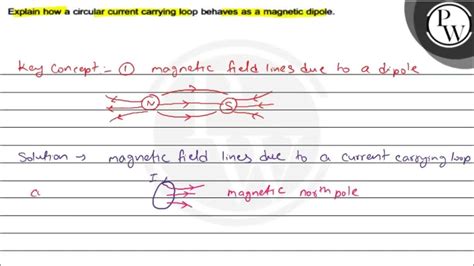 Explain How A Circular Current Carrying Loop Behaves As A Magnetic