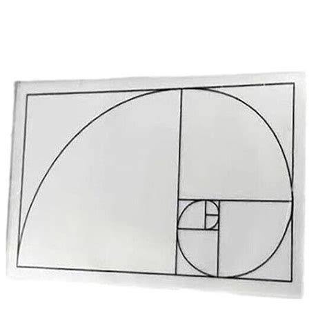 Golden Ratiofibonacci Composition View Finder Fibonacci Composition