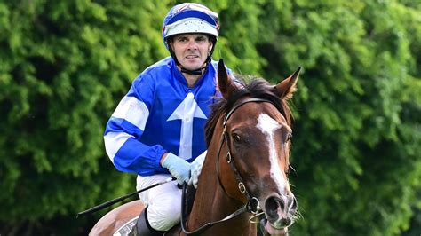 ‘they Thought I Was Semi Retired How Noel Callow Became The King Again In Queensland News