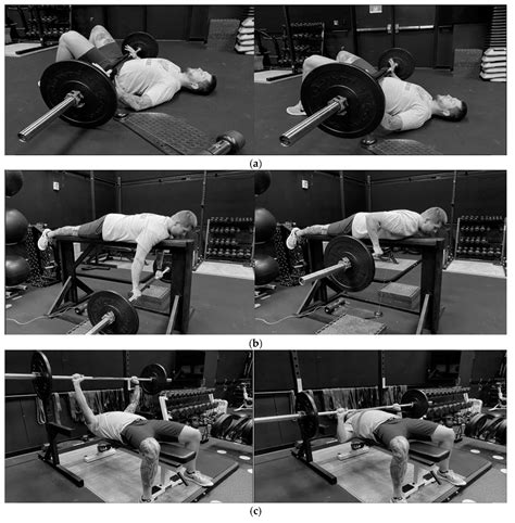Experience Training Preferences And Fighting Style Are Differentially