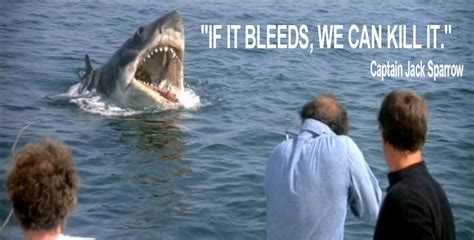 Jaws Quotes Bumper Stickers At Tracy Hilton Blog