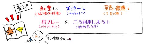 脳下垂体後葉から分泌されるホルモンとその働き覚え方。「紅葉はおっきーし、至急宿題。罰プレーをこう利用しよう！」で覚えてみよう。 マンガで