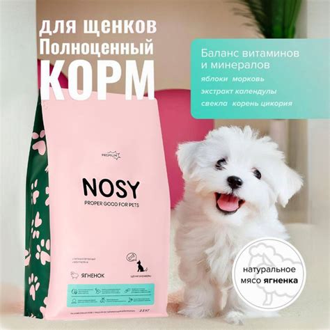 Корм cухой для щенков и молодых собак маленьких пород, Nosy ...
