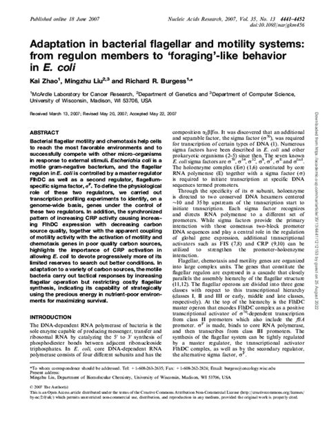 Pdf Adaptation In Bacterial Flagellar And Motility Systems From Regulon Members To ‘foraging