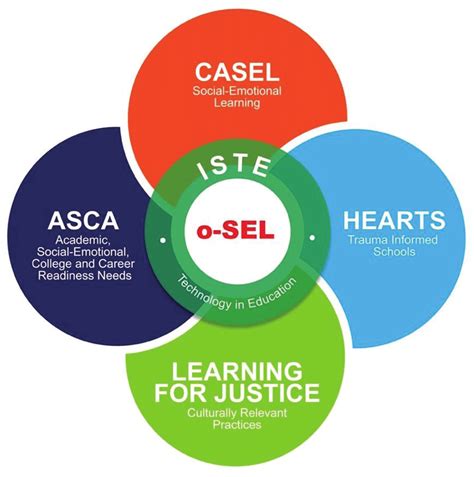 O Sel Conceptual Framework Download Scientific Diagram