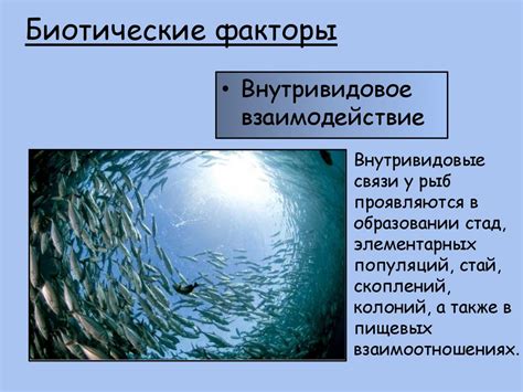 Биотические факторы регулирующие численность и биомассу гидробионтов