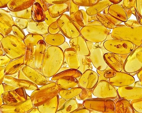 What Is Amber And How Can You Use It