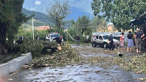 კახეთში დაისეტყვა ვენახები მოგლეჯილია ხეები და დაზიანებულია ინფრასტრუქტურა