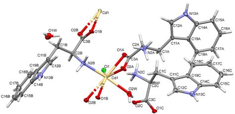 the molecular structure of the complex showing the atom labeling download scientific diagram