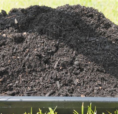 Lidl Compost Is It Any Good Patient Gardener