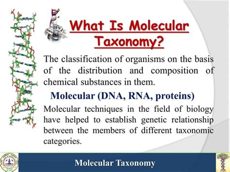 Molecular Taxonomy