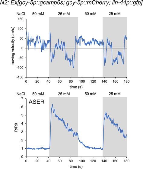 Cell Press Star Protocols
