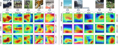 Attribute Attention Maps For Awa2 Left And Sun Right From Our Apn Download Scientific