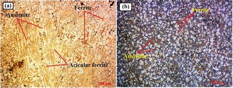 Optical Microstructure Of A Duplex Stainless Steel B Ferritic Download Scientific Diagram