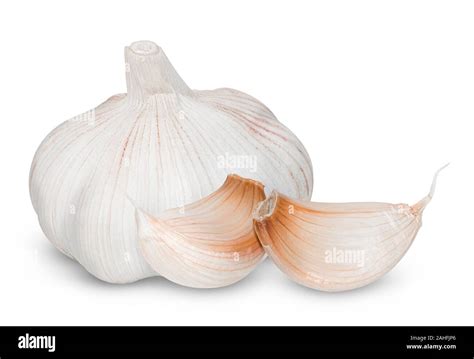 isolated garlic raw garlic with segments isolated on white background
