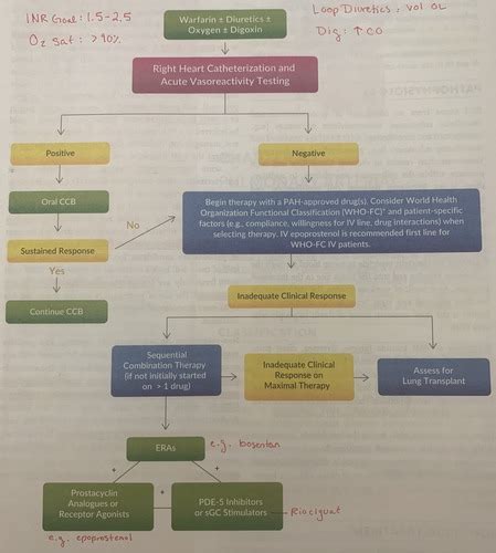 Pulm 2 Flashcards Quizlet Pulm 2 Flashcards Quizlet
