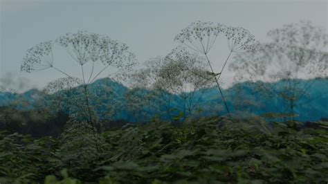 Sathish Kumar On Linkedin Blender Blenderart 3danimation 3dartist 3denvironment Design…