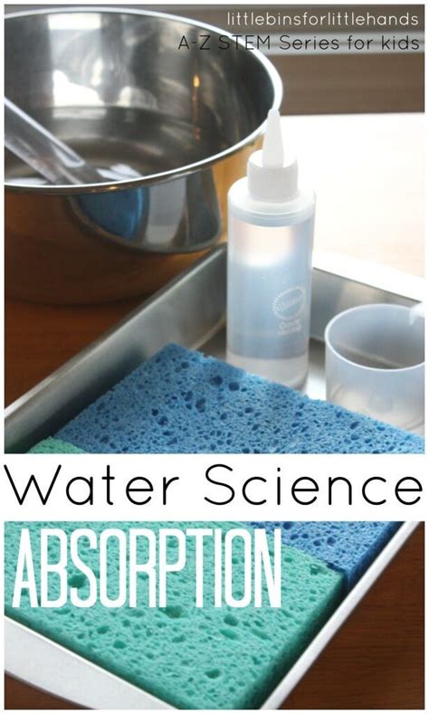 Sponge Absorption Experiment Artofit