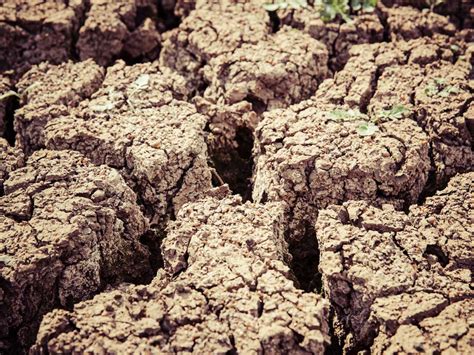 Wcrp Global Drought Information System Workshop 2018 Drought Central