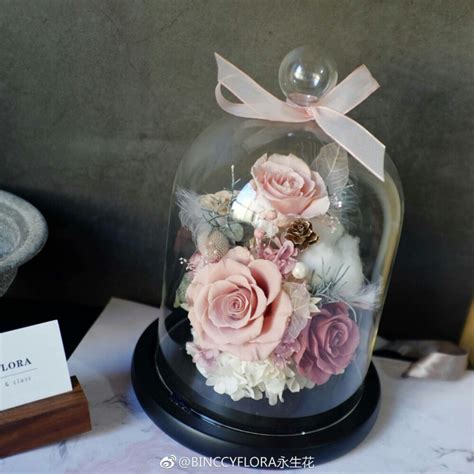 永生花 高清图片，堆糖，美图壁纸兴趣社区