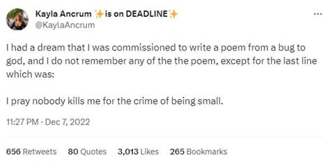 Viral Spider Poem Is Moving Tiktokers To Tears
