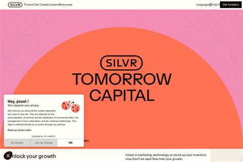 Silvr Webflow