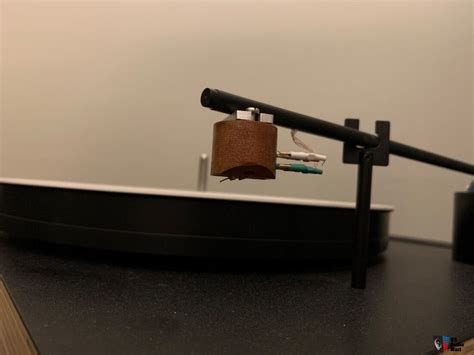 Well Tempered Labs Kauri I Photo 5540086 Canuck Audio Mart