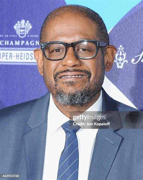 346 Jon Whittaker Photos And High Res Pictures Getty Images