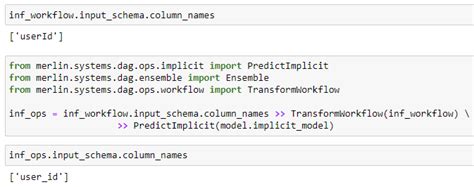 BUG Inference Workflow Doesn T Honor Input Schema If