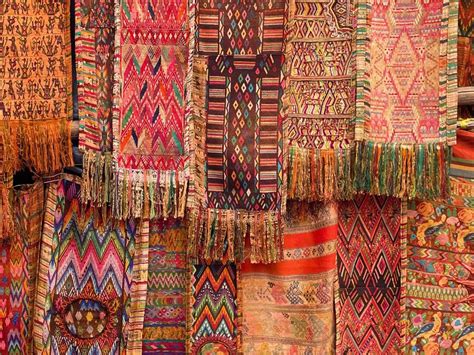 Join Our Curated Trips — Luna Zorro