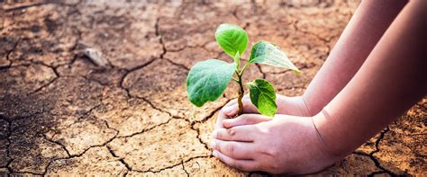 Climate Change And The Impact On The Agriculture And Food Ecosystem L