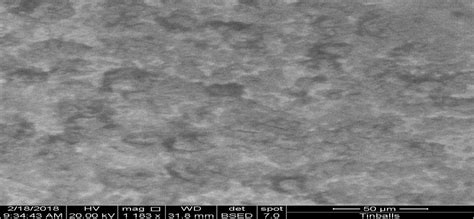 The Sem Micrographs 5000x For Ms In 10 M Hcl Download Scientific