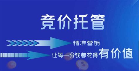 百度托管百度sem推广托管竞价sem托管代运营推广竞价托管 百达利信息技术