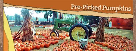 Locally Grown Fruits And Vegetables From Marks Melon Patch Near Albany